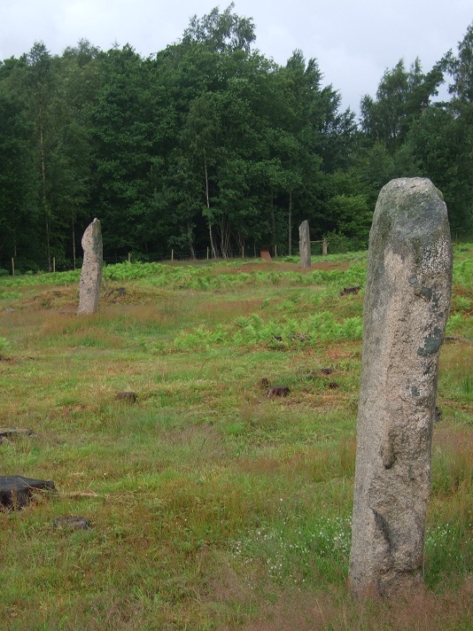 Visterflo Standing Stone Row, Østfold | Megalithic Portal