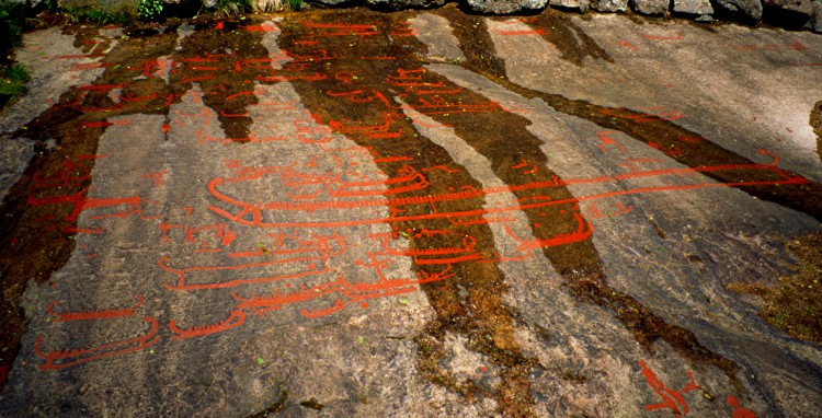 Torsbo Carving : The Megalithic Portal and Megalith Map: