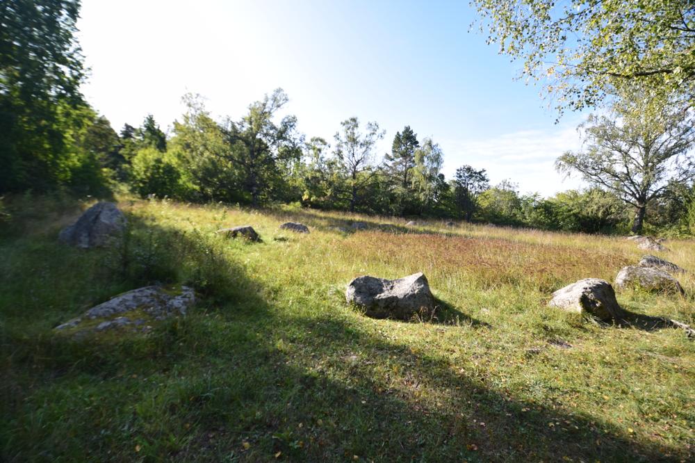 Runsa (Upplands-Väsby) [RAÄ-nummer Ed 1:1] Stone Circle : The ...