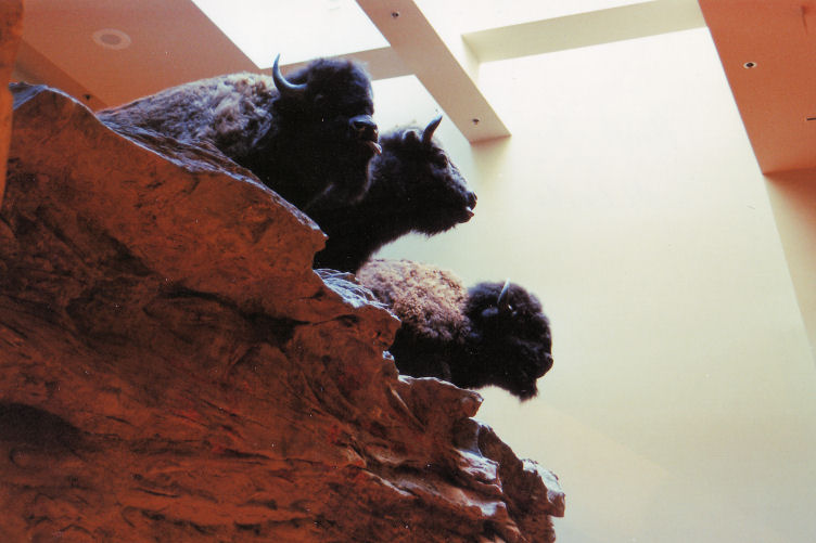 Head-Smashed-In Buffalo Jump Gallery | Megalithic Portal