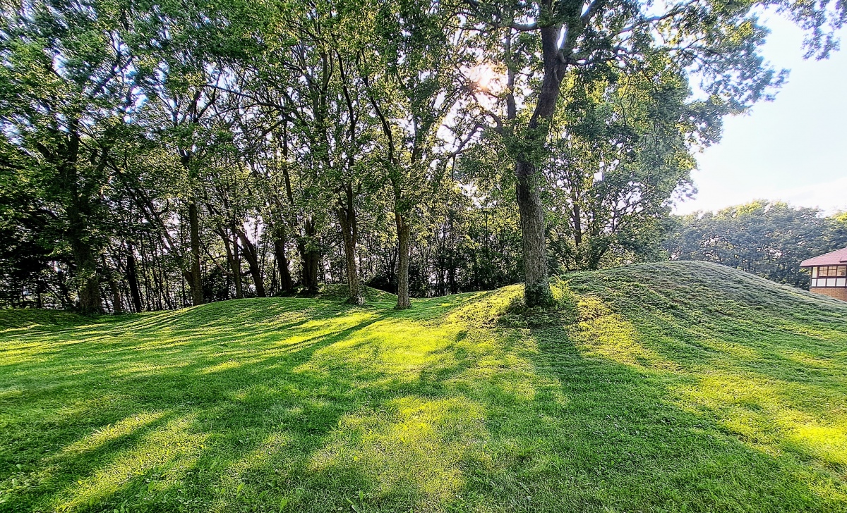Mendota Mental Health Institute Effigy Mounds, Wisconsin | Megalithic ...