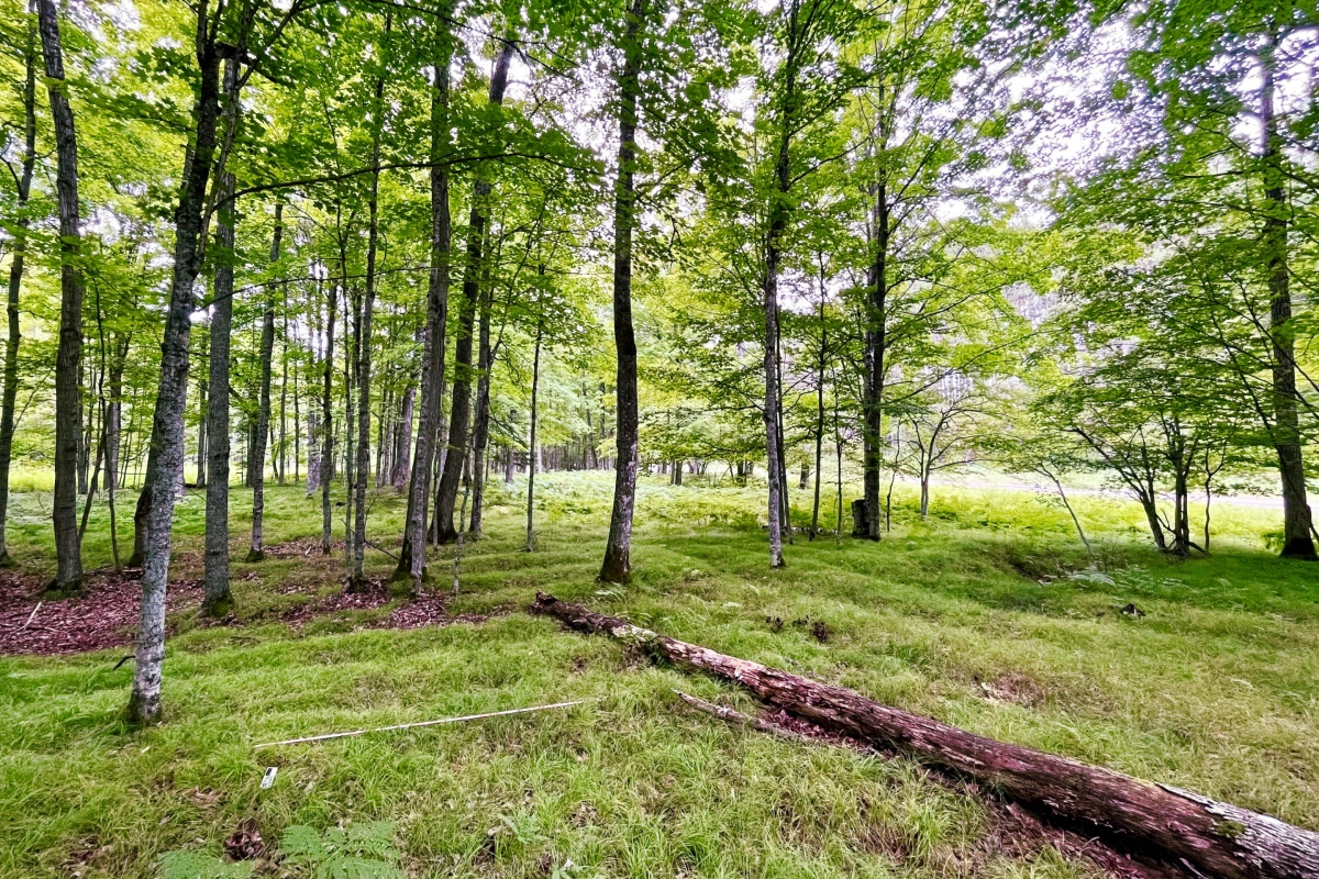 Minominee Ancient Farming Site, Wisconsin | Megalithic Portal