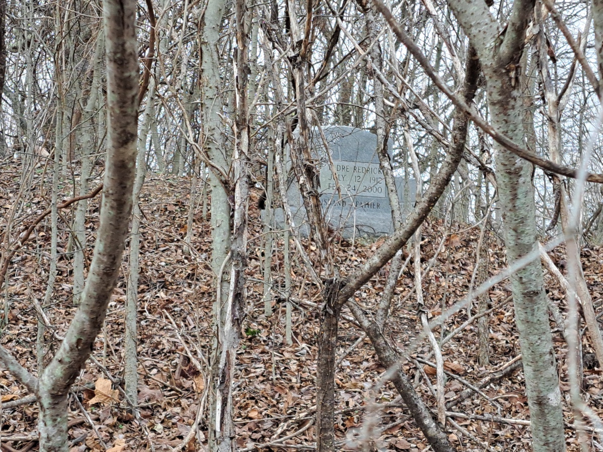 Johnson Cemetery Mound Artificial Mound : The Megalithic Portal and ...