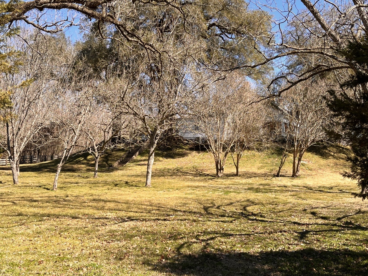 Foster Mounds Artificial Mound : The Megalithic Portal and Megalith Map: