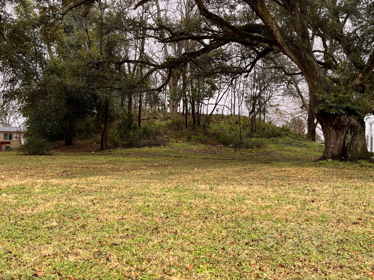Anguilla Mound, Mississippi | Megalithic Portal