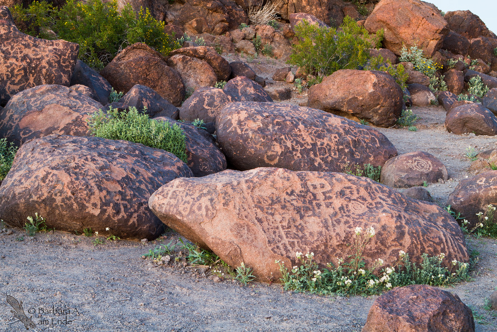 Painted Rock Petroglyph Site [Painted Rock State Park] Rock Art : The ...