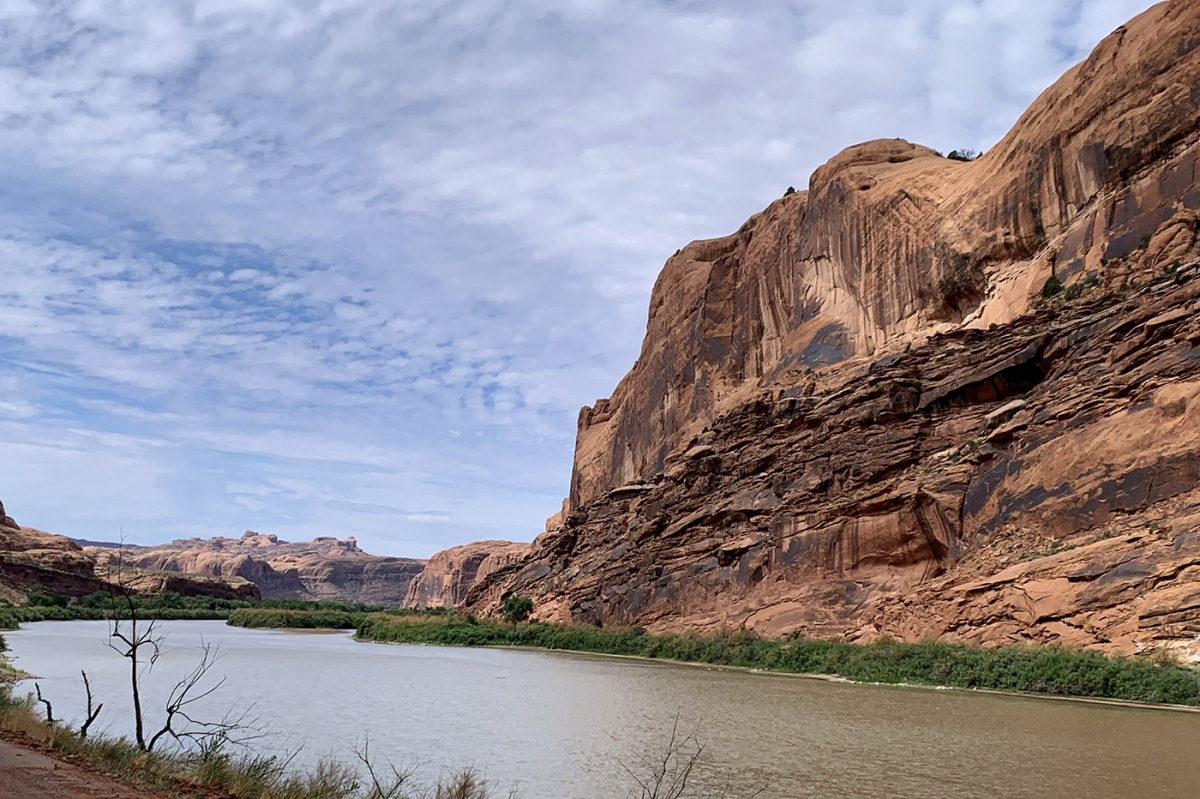 Moonflower Petroglyphs, Utah | Megalithic Portal