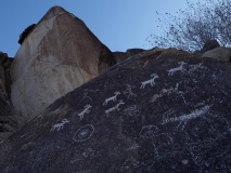 Grapevine Canyon Gallery : The Megalithic Portal and Megalith Map: