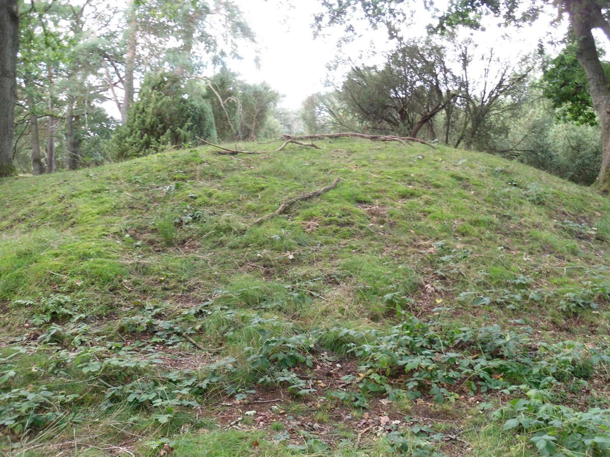Balloo Kampsheide Grafheuvels (2) Barrow Cemetery : The Megalithic ...