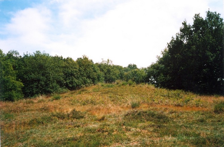 Balloo Kampsheide Grafheuvels (2) Barrow Cemetery : The Megalithic ...