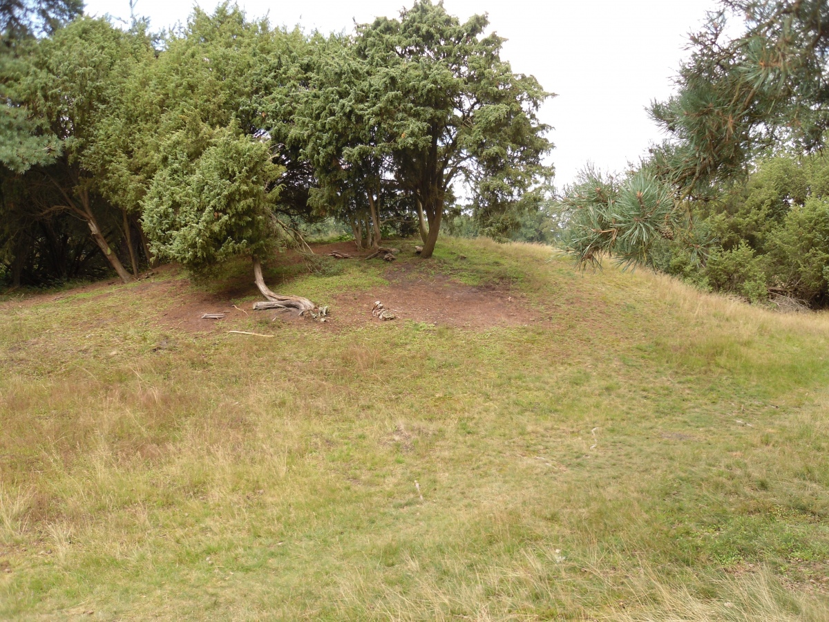 Balloo Kampsheide Grafheuvels (2) Barrow Cemetery : The Megalithic ...