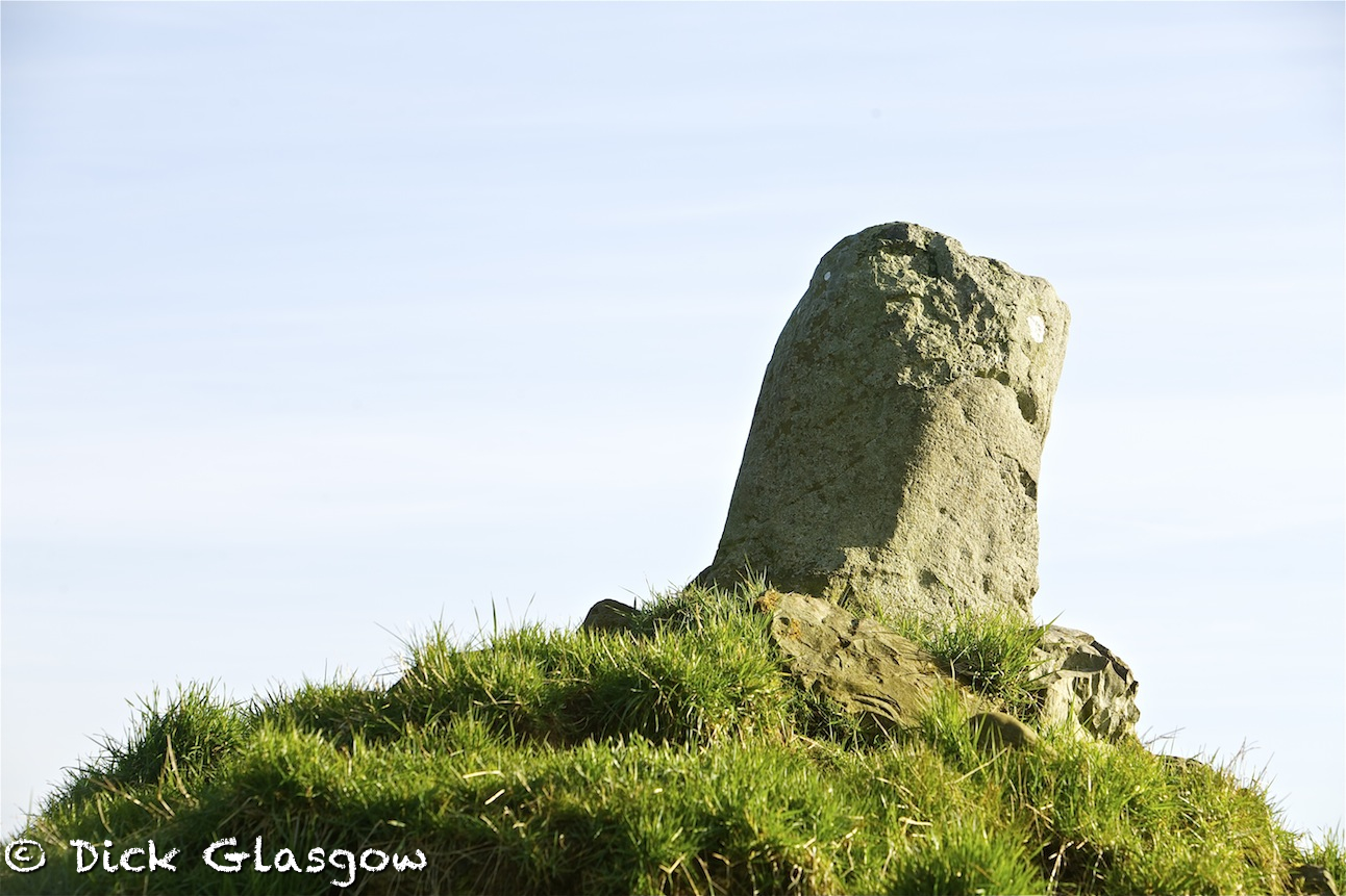 Kilmahamogue Standing Stone Standing Stone (Menhir) : The Megalithic ...