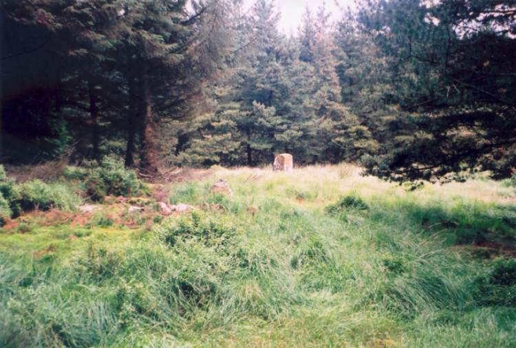 Davagh Lower S, Co. Tyrone | Megalithic Portal