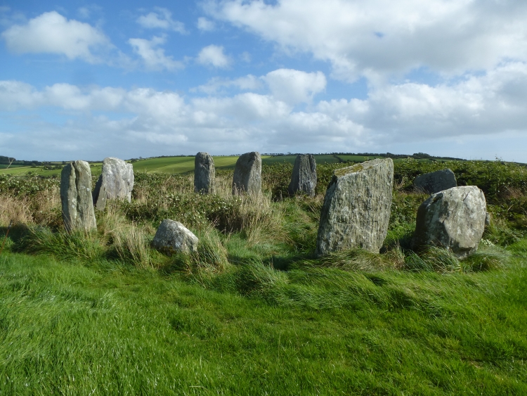 Bohonagh Circle, Co. Cork | Megalithic Portal