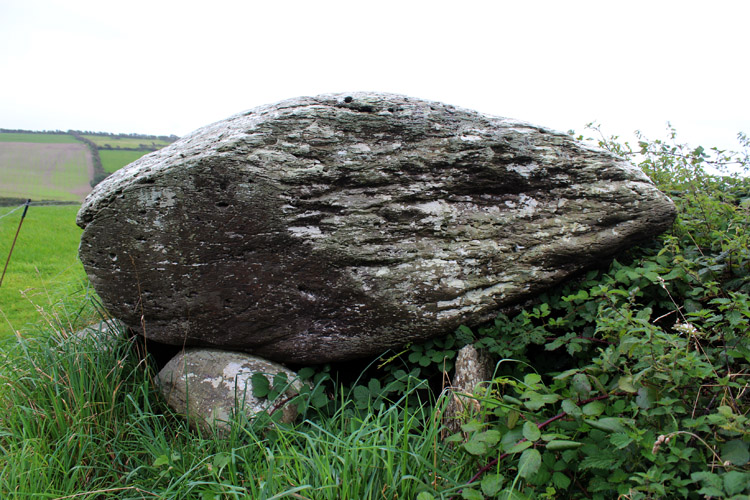 Bohonagh Boulder Burial Burial Chamber or Dolmen : The Megalithic ...