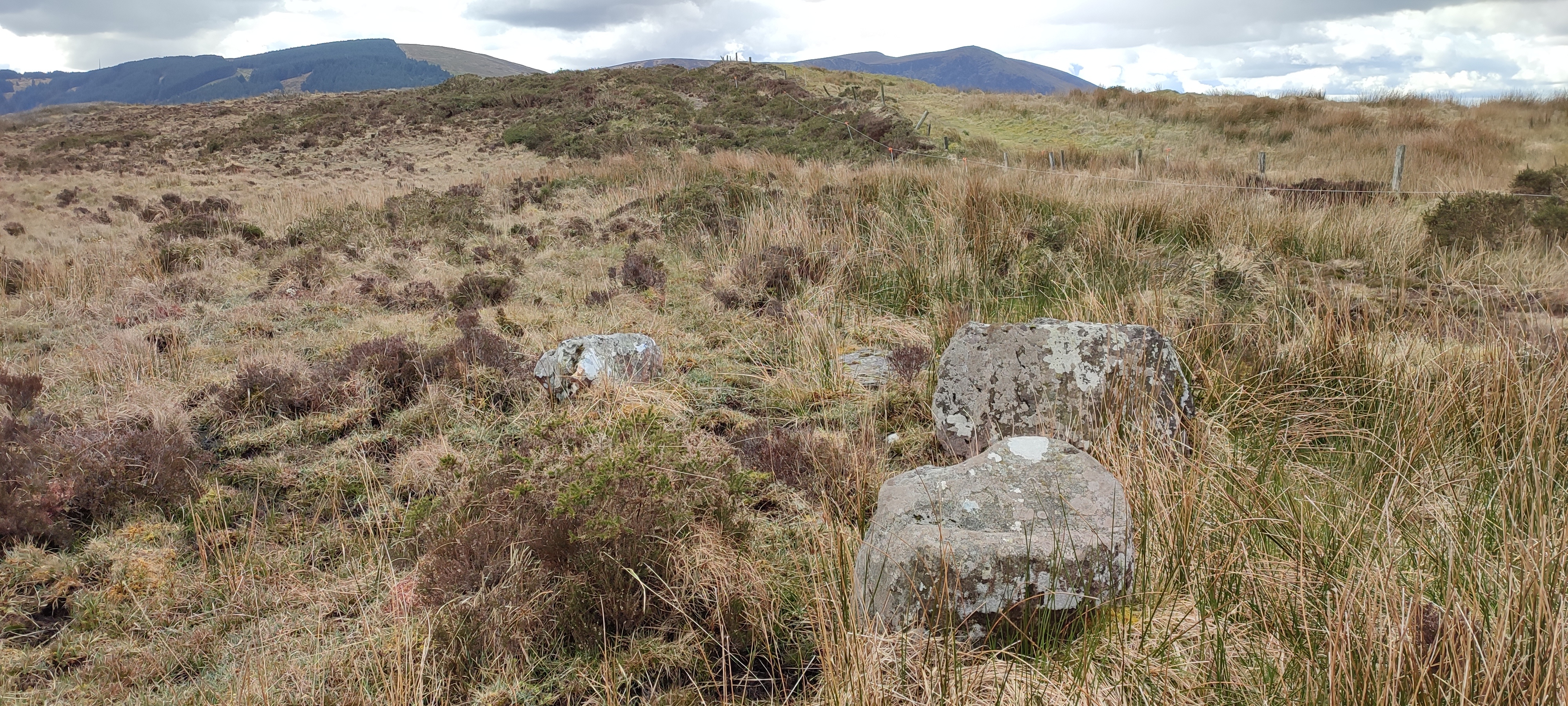 Kilmeedy - eastern stone circle Stone Circle : The Megalithic Portal ...