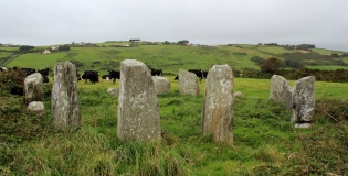 Bohonagh Circle, Co. Cork | Megalithic Portal