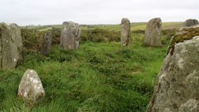 Bohonagh Circle, Co. Cork | Megalithic Portal
