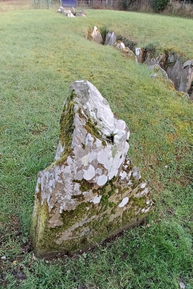 Audleystown Court Tomb, Co. Down | Megalithic Portal