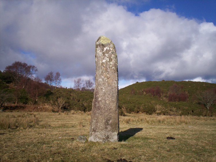Gurteen Standing Stone Gallery : The Megalithic Portal and Megalith Map: