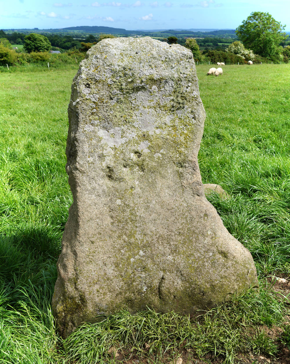 Robinstown Great, Co. Wexford | Megalithic Portal