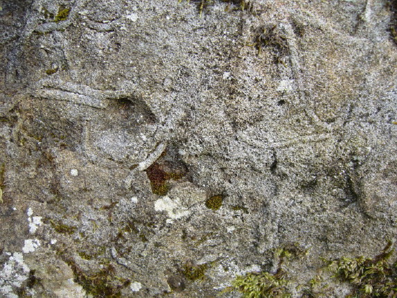 Loughcrew Cairn V Passage Grave : The Megalithic Portal and Megalith Map: