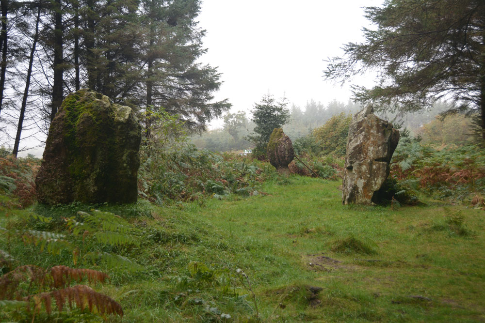 Blackpark, Isle of Bute | Megalithic Portal