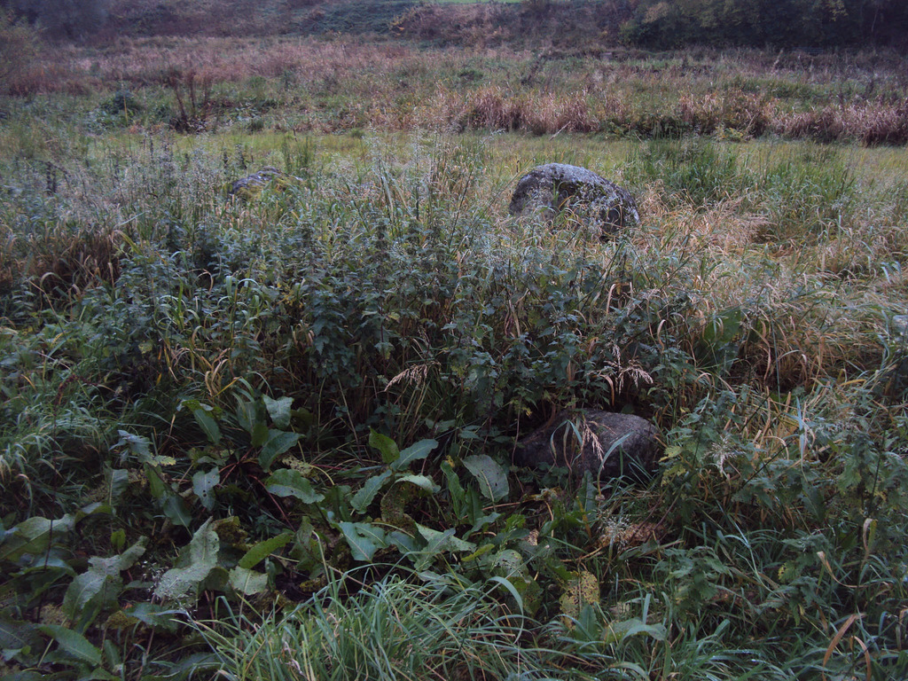 Ellon., Aberdeenshire | Megalithic Portal