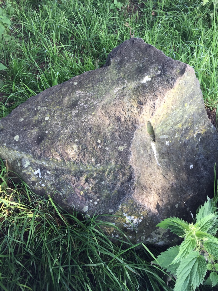 Woodhill House [Knock Hill] Rock Art : The Megalithic Portal and ...