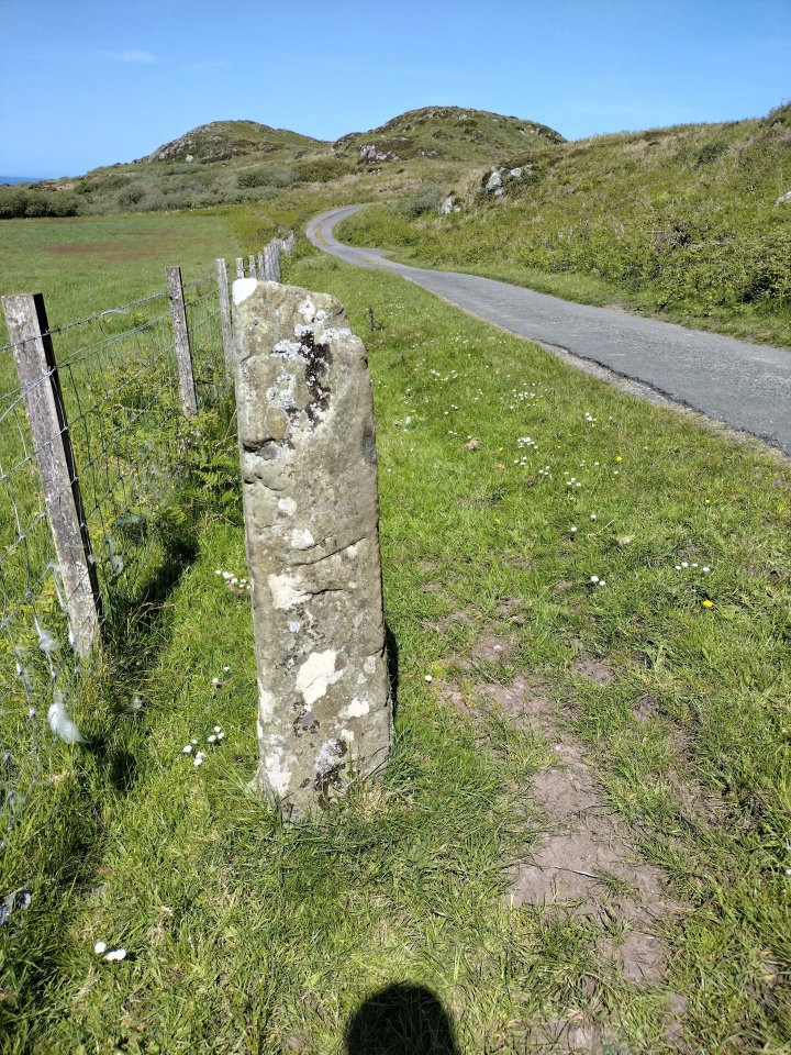 Cnoc nan Gobhar Stone Standing Stone (Menhir) : The Megalithic Portal ...