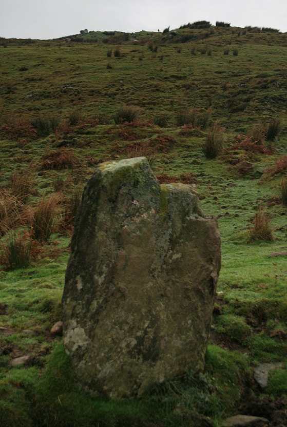 Skeroblin Stone Standing Stone (Menhir) : The Megalithic Portal and ...