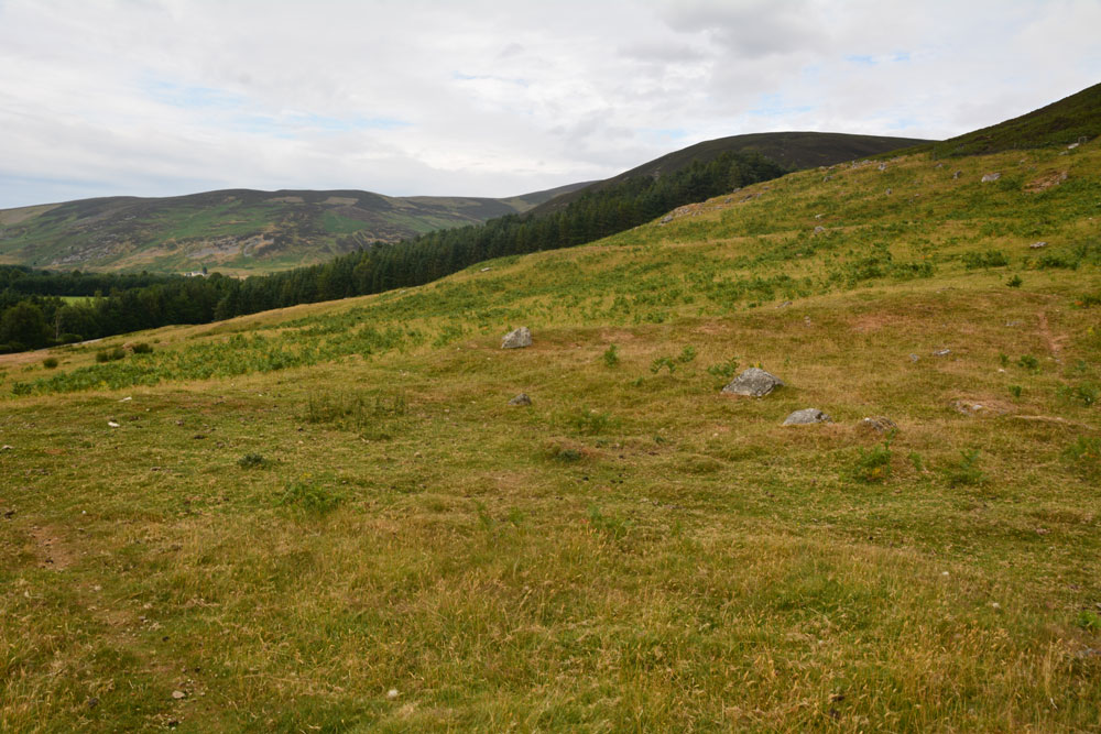 Laigh Hill (Tweeddale), Scottish Borders | Megalithic Portal