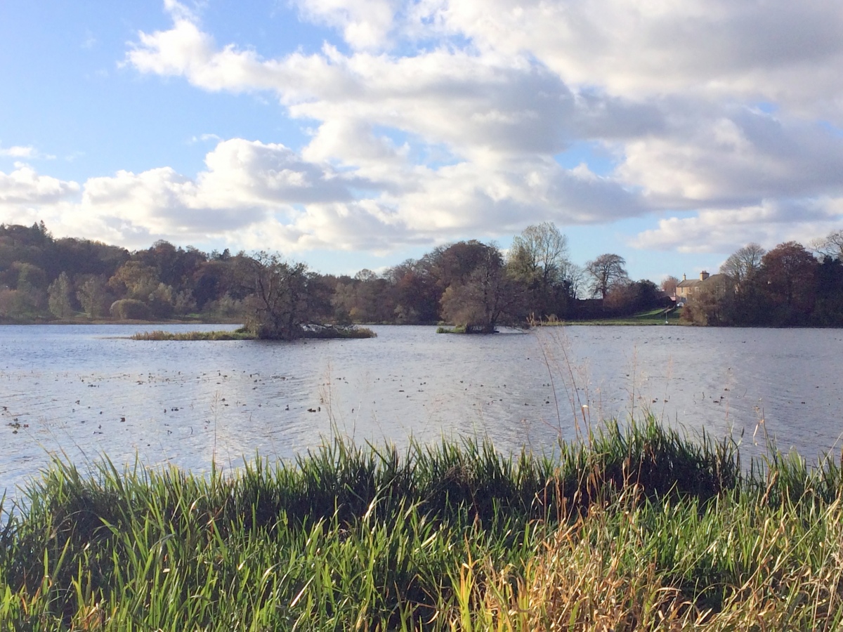 Carlingwark Loch, Dumfries and Galloway | Megalithic Portal