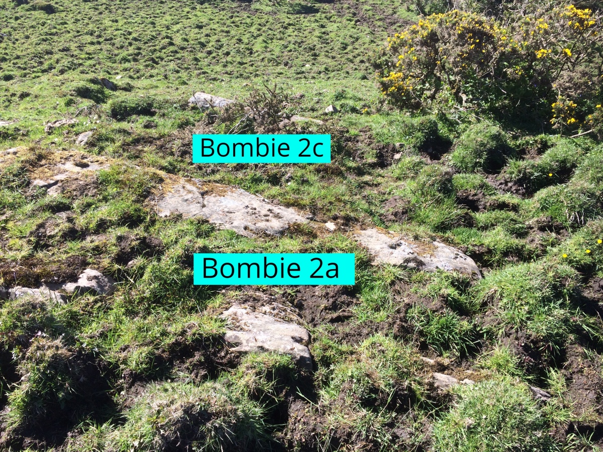 Bombie 2 Rock Art : The Megalithic Portal and Megalith Map: