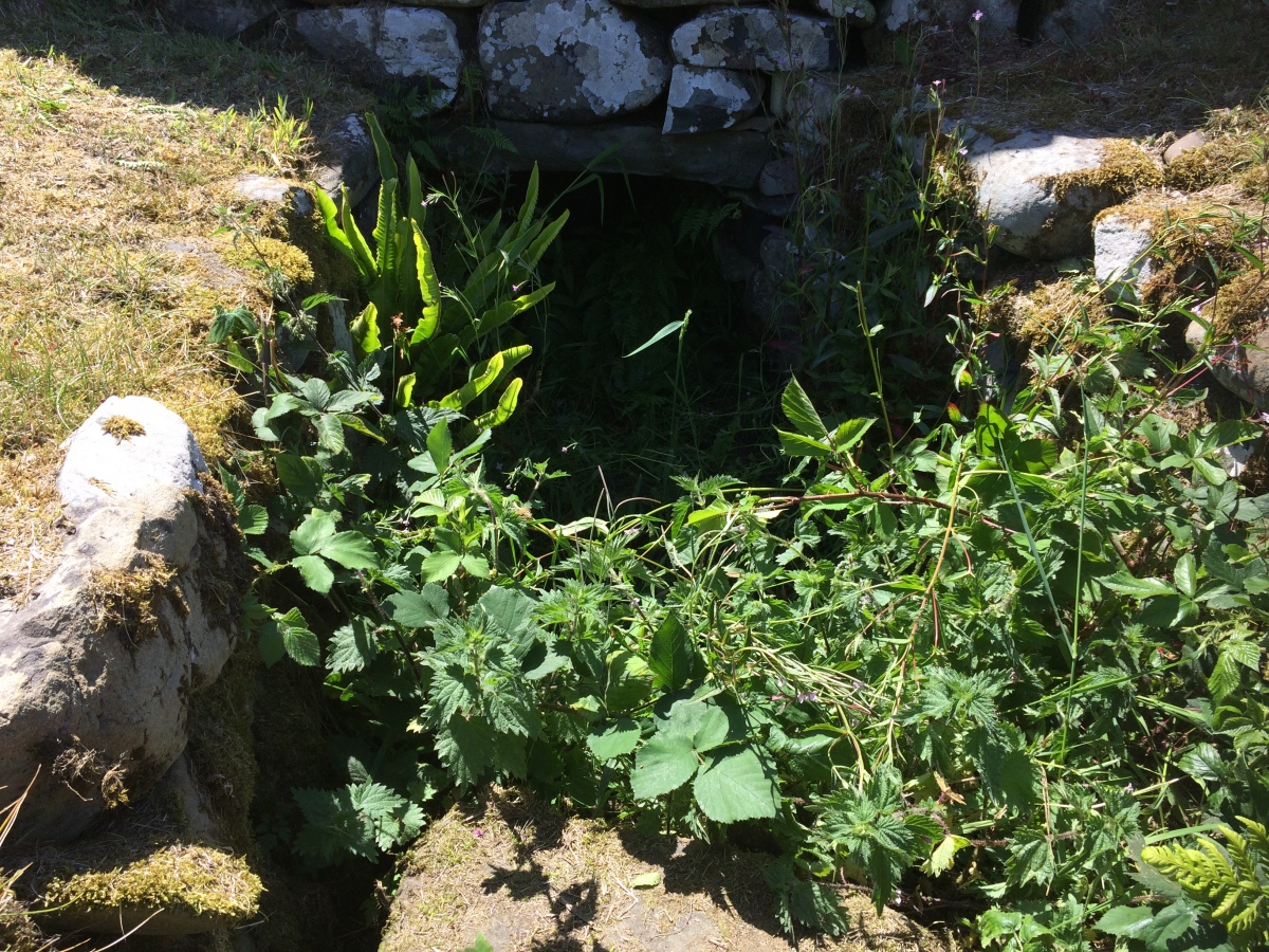 Chapel Finian Well, Dumfries and Galloway | Megalithic Portal