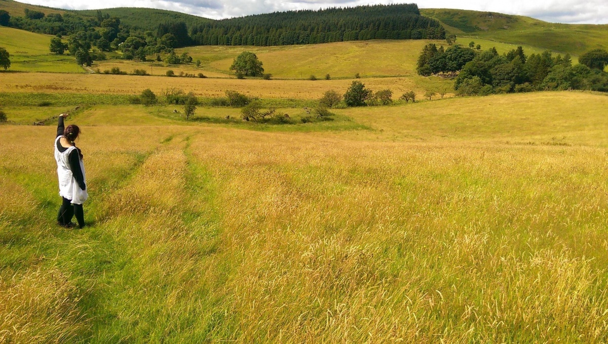 Loupin' Stanes SE, Dumfries and Galloway | Megalithic Portal
