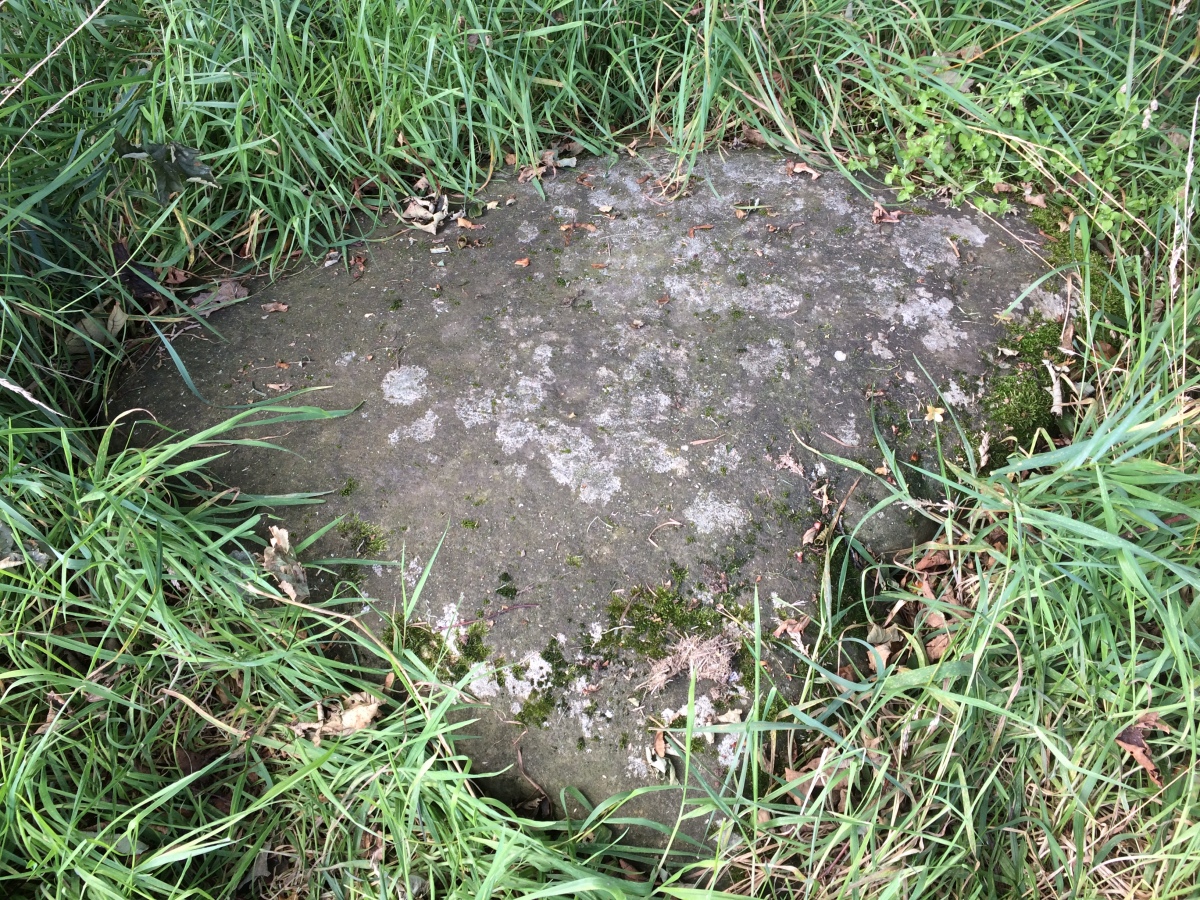Knock Rock Art (4) [Clarksburn Wood Cup and Rings] Rock Art : The ...
