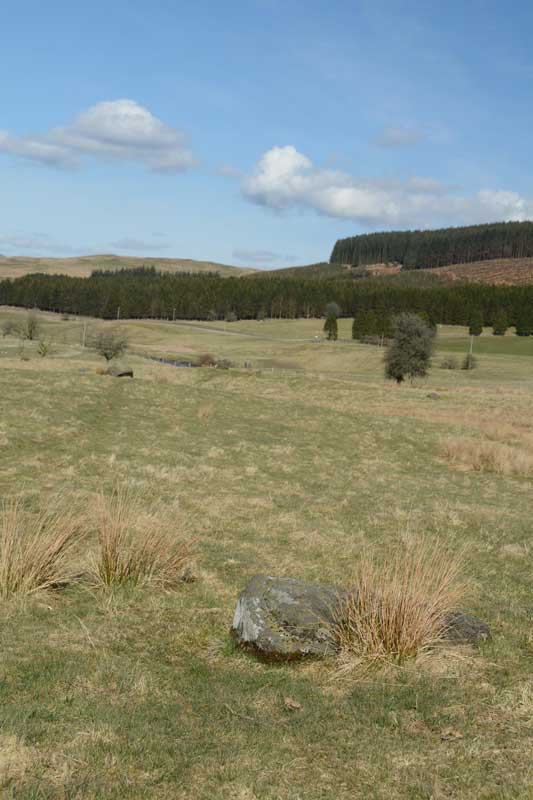Loupin' Stanes SE [The Loupin' Stanes] Stone Row / Alignment : The ...
