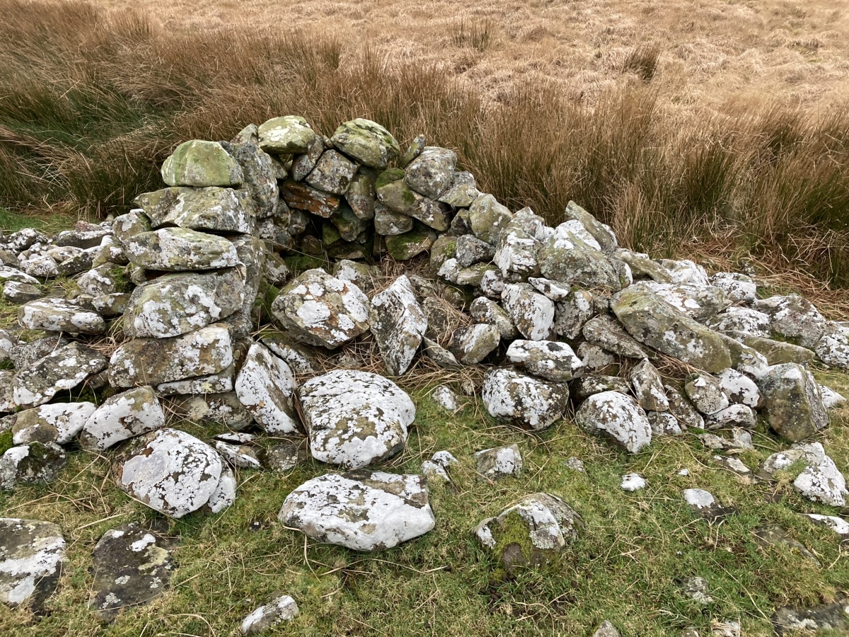 Drumanwherran S Cairn Cemetery, Dumfries and Galloway | Megalithic Portal