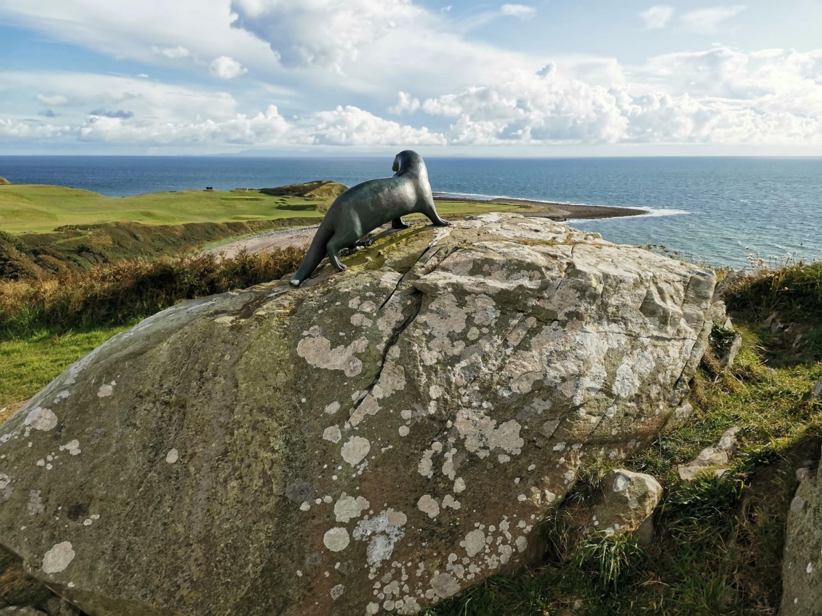Knock Rock Art (1), Dumfries and Galloway | Megalithic Portal