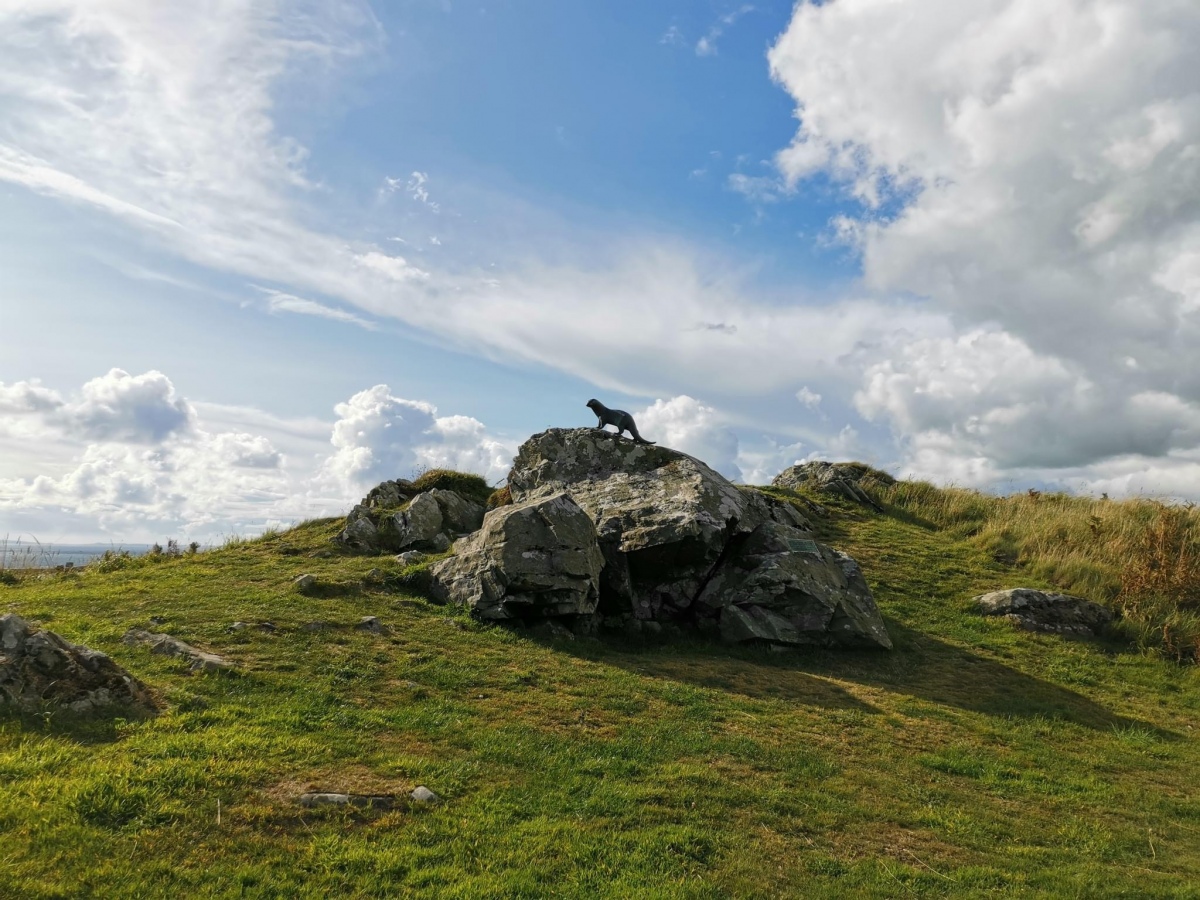 Knock Rock Art (1), Dumfries and Galloway | Megalithic Portal
