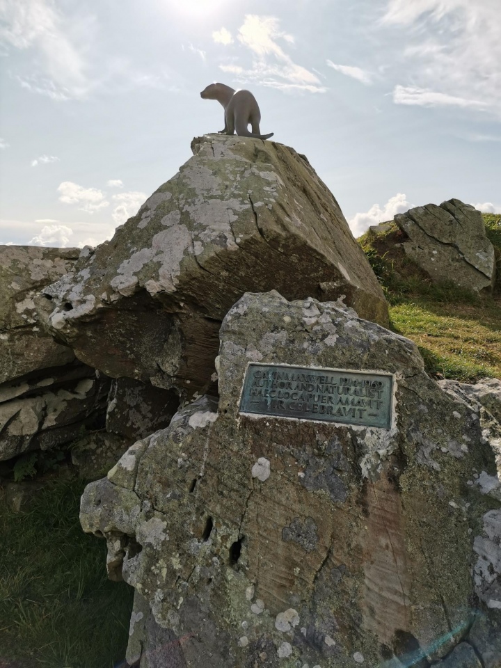 Knock Rock Art (1), Dumfries and Galloway | Megalithic Portal