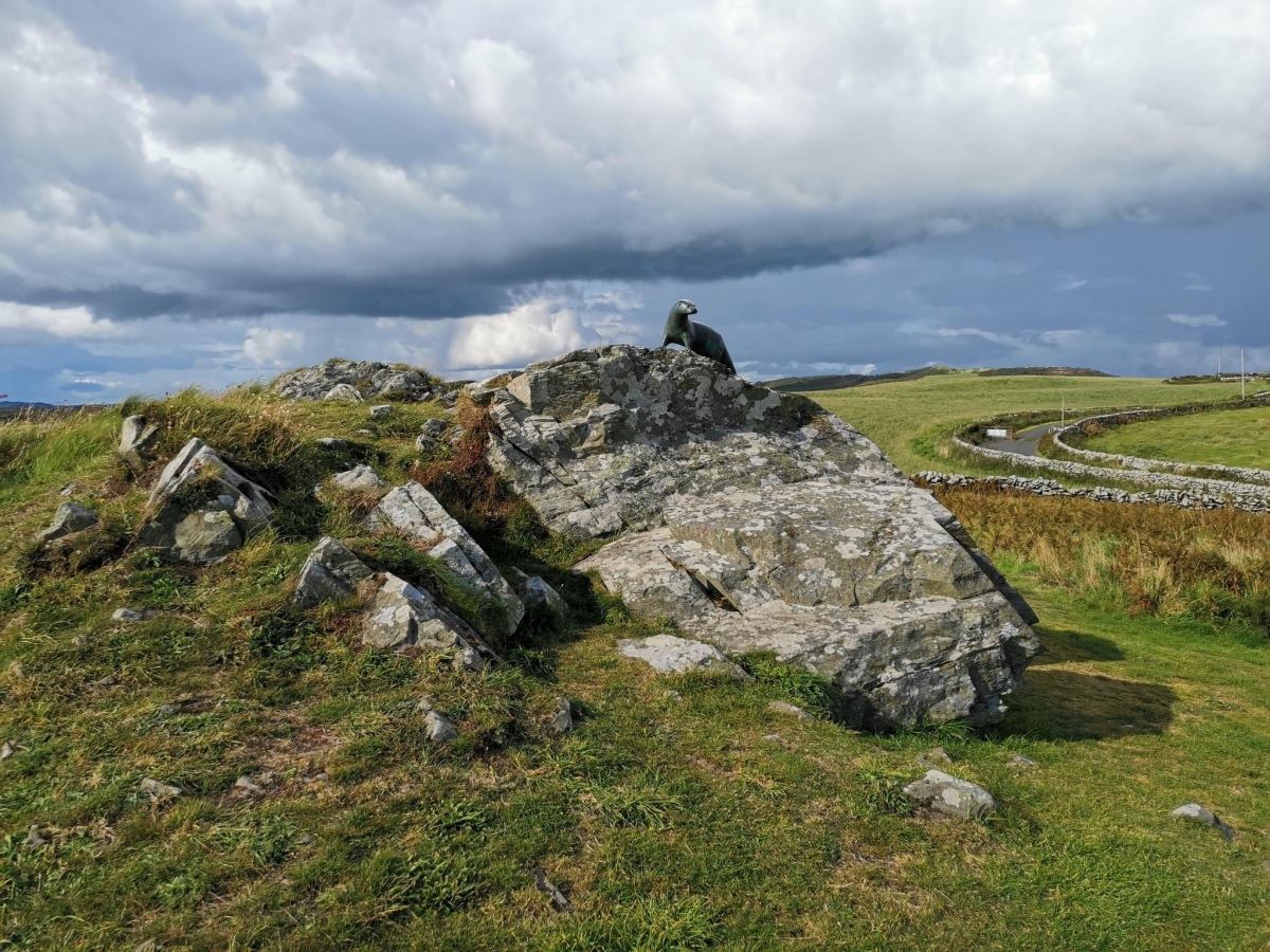 Knock Rock Art (1), Dumfries and Galloway | Megalithic Portal