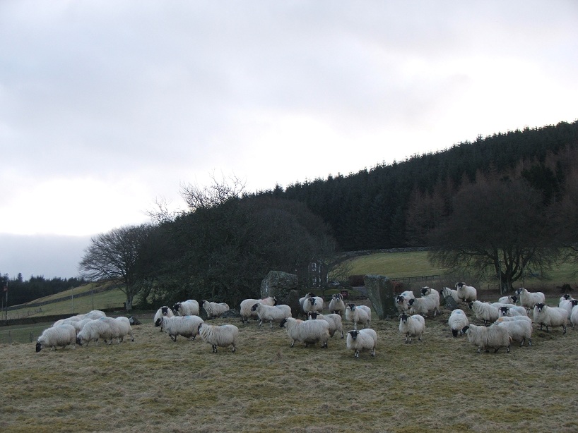 Loupin' Stanes NW [The Loupin' Stanes; The Cote; Hartmanor; Loupin ...