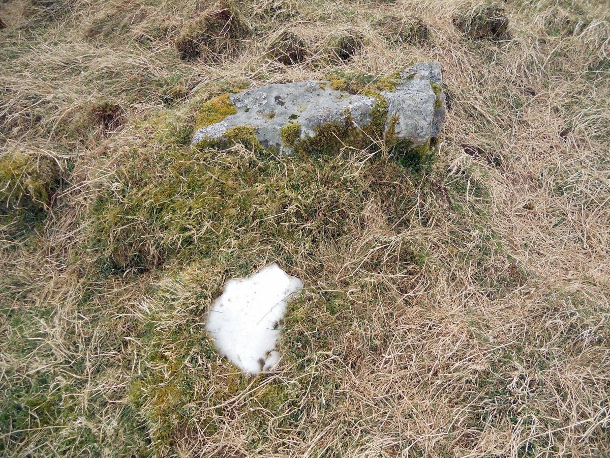 Tullochgorum Cairn, Highlands | Megalithic Portal