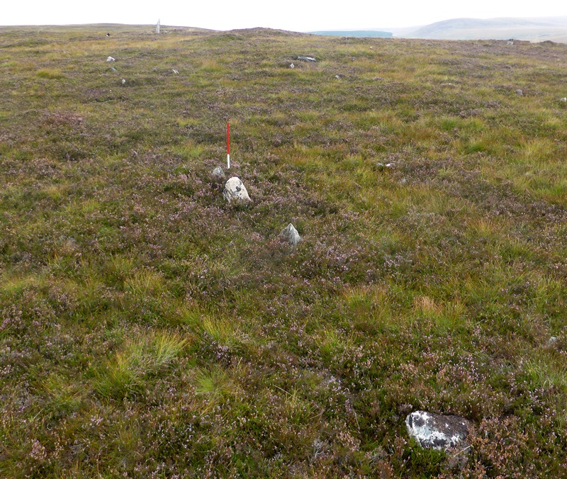 Learable Hill Row 4 Stone Row / Alignment : The Megalithic Portal and ...