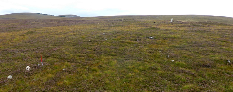 Learable Hill Row 4 Stone Row / Alignment : The Megalithic Portal and ...