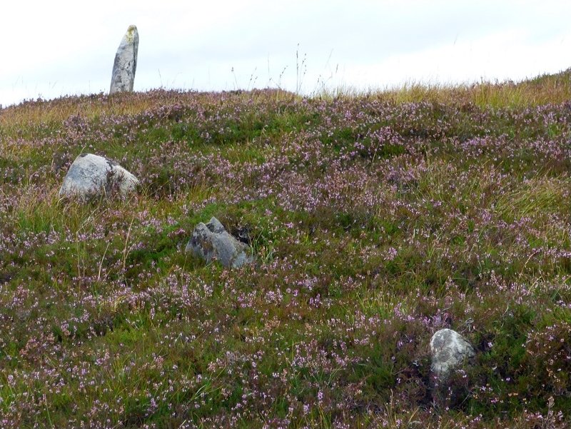 Learable Hill Row 4 Stone Row / Alignment : The Megalithic Portal and ...