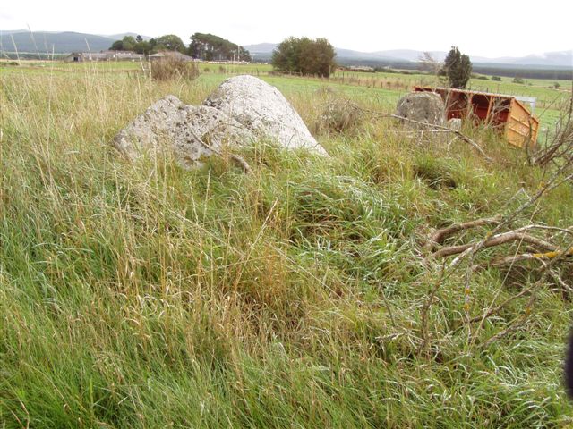 Tullochgorum Cairn [Boat of Garten, Tullochgorm, Lackgie] Stone Circle ...