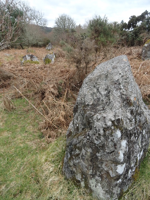 Kinchyle Of Dores, Highlands | Megalithic Portal